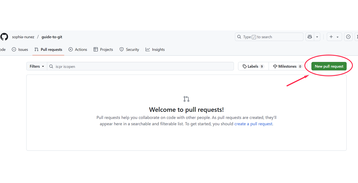 Pull Request | Guide to Git for Students